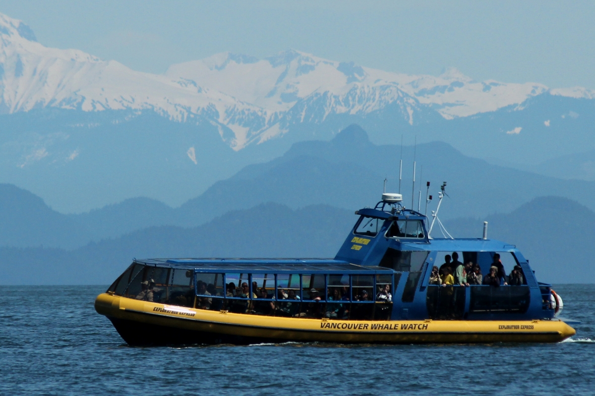 Express - Vancouver Whale Watch