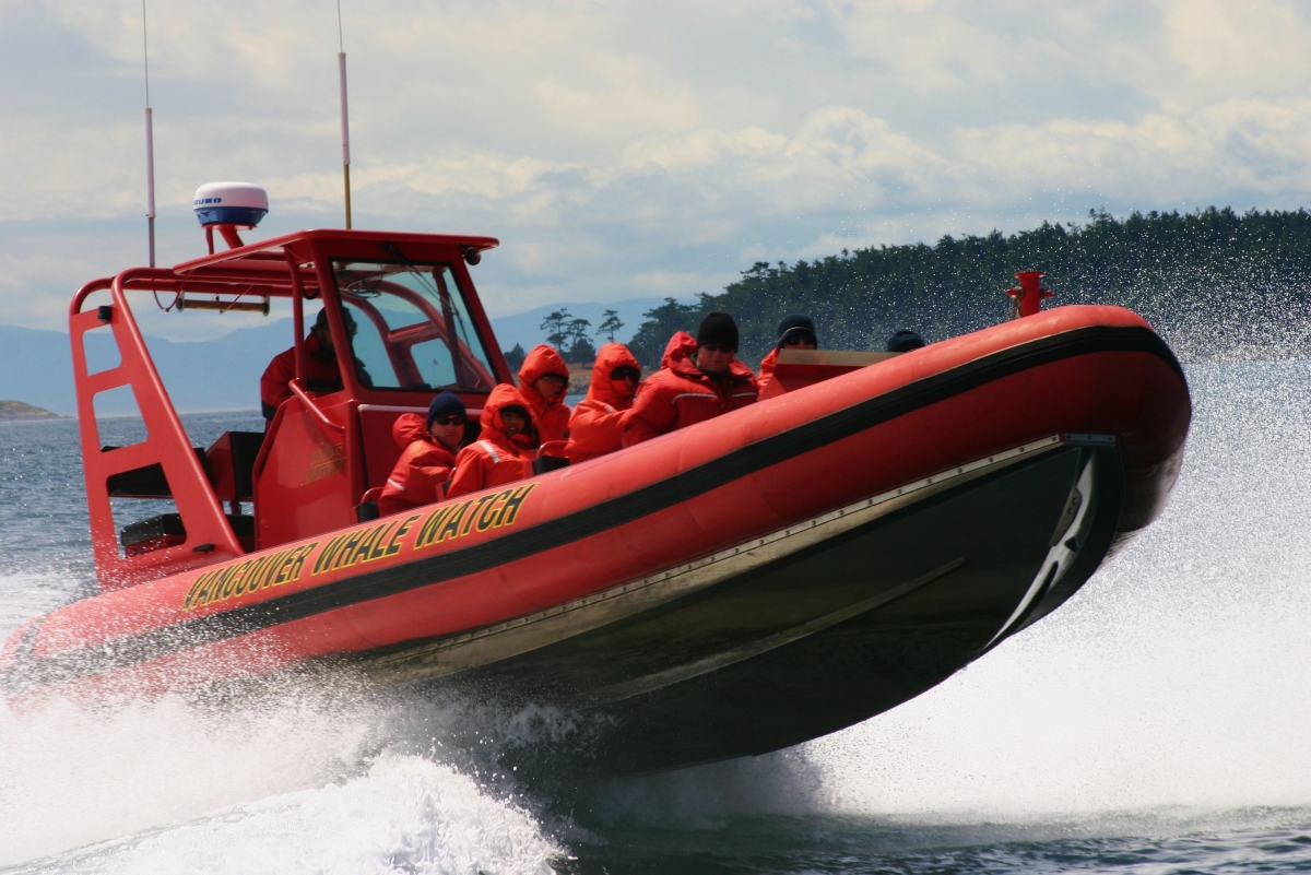 Lightship & Strider - Vancouver Whale Watch